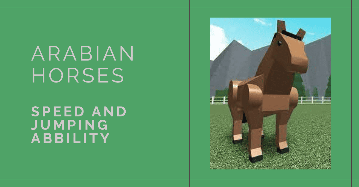 Minecraft Best Horse: The Only Guide You'll Ever Need