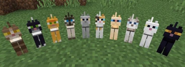 Minecraft Cat Breeding 101: Tips and Tricks for Success